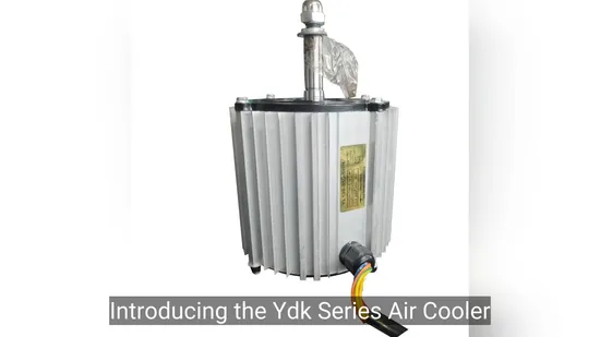 Single Phase Ydk Series Air Cooler Fan Motor with Aluminum Body 220V ...